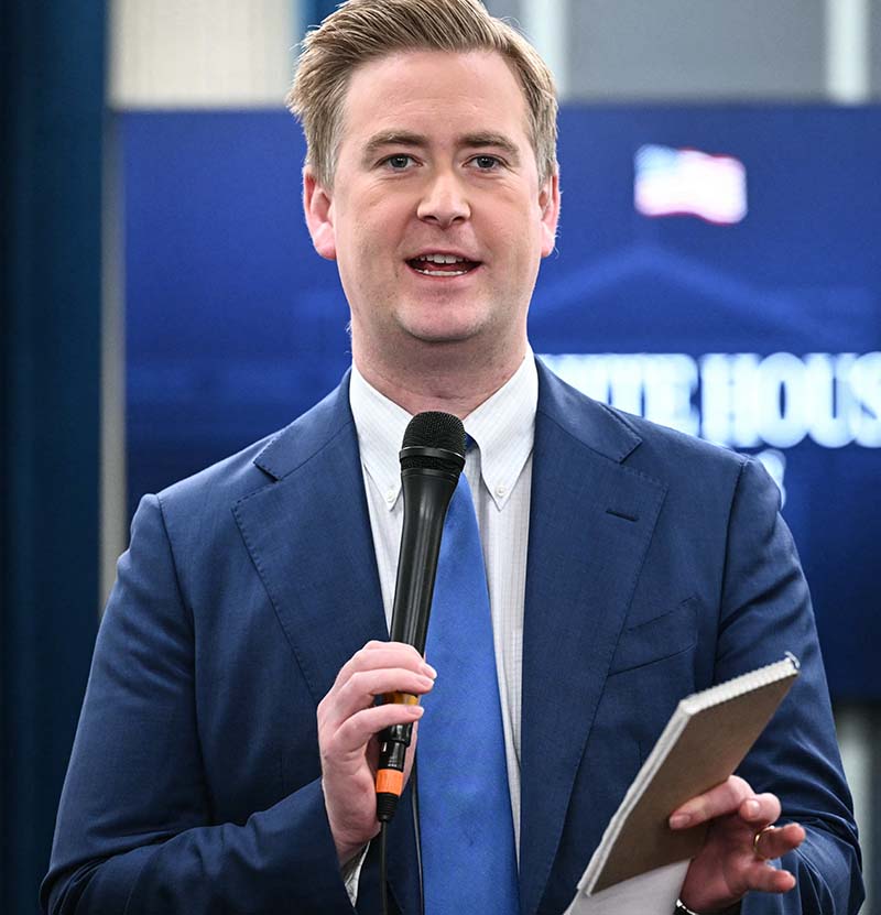 Peter Doocy Announces Live On-Air That He and Wife Hillary Vaughn Are ...